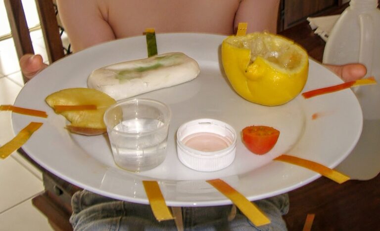 Kitchen Science - Experiments and Ideas | Homeschool Group Hug